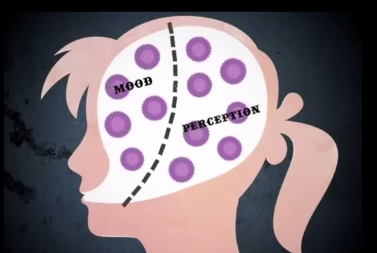 Talk to Frank: Drugs on the Brain