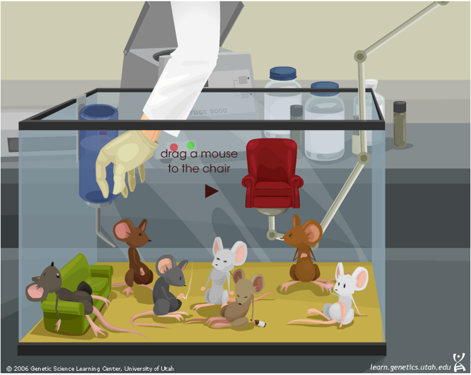 Mouse Party: Educational Game